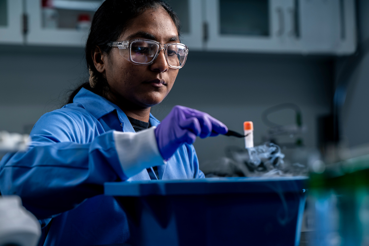 Research Core – Office of the Vice Chancellor of Research and ...